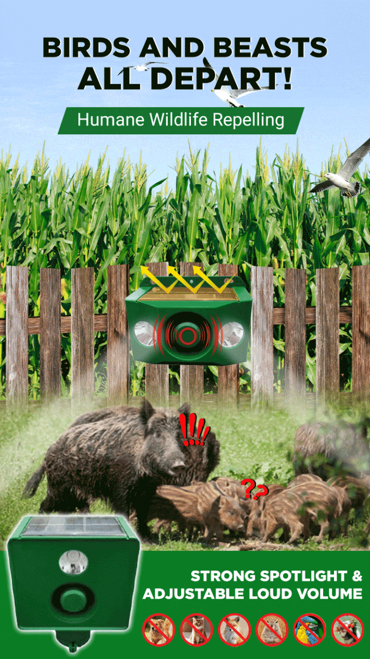 Beast Repellent Solar Warning Lights with Loud Volume - Banlight