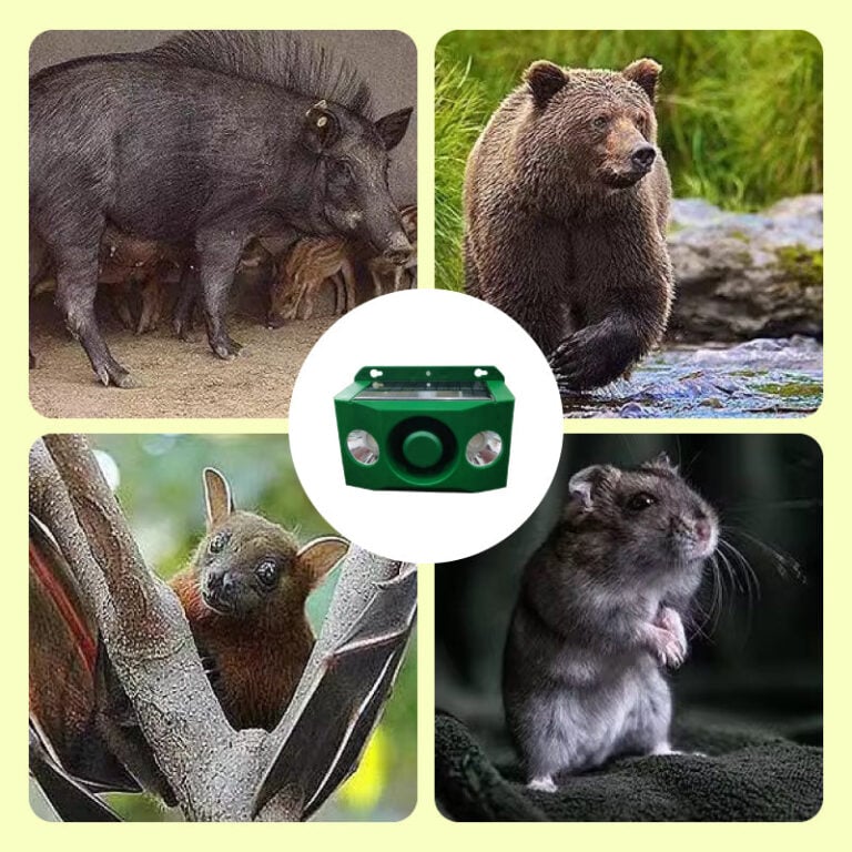 Beast Repellent Solar Warning Lights with Loud Volume - Banlight