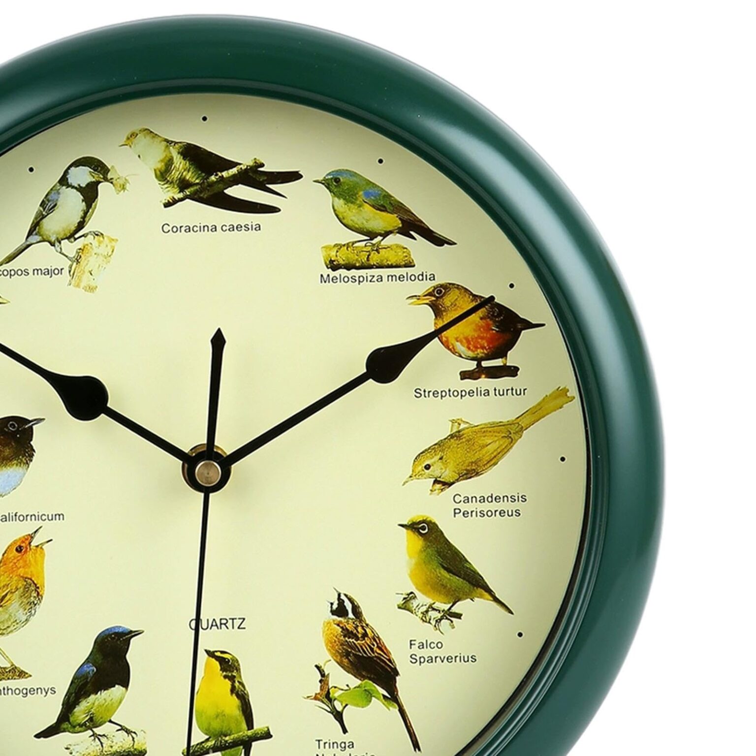 The Original Singing Bird Clock - Banlight